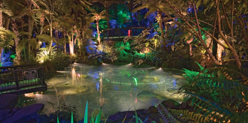 Mitai Maori Cultural Experience Tours, Rotorua - Everything New Zealand Mitai Maori Cultural Experience Tours, Rotorua - Everything New Zealand