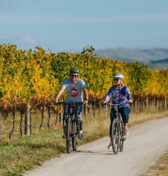 Things to do in Hawkes Bay | Winery Bike Tours