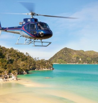 Things to Do in Nelson | Nelson Activities - Everything New Zealand