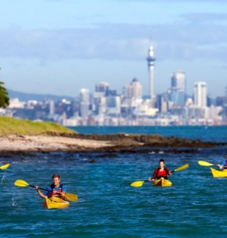 Activities To Do In Auckland | Everything New Zealand