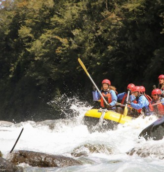 NZ Wet Weather Activities | Everything New Zealand