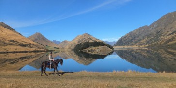 Horse Riding Queenstown | Everything Queenstown
