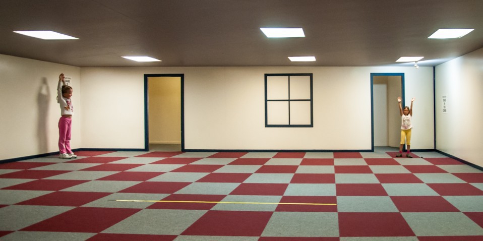 Puzzling World, Wanaka - Everything New Zealand