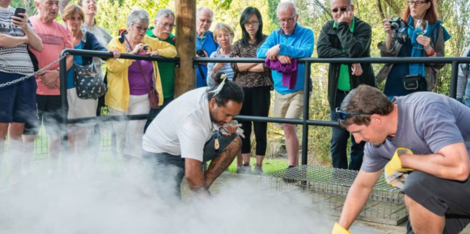 Waitangi Treaty Grounds Cultural Experience| Everything New Zealand