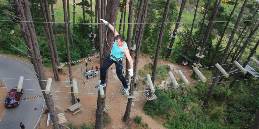 Adrenalin Forest Wellington | Everything New Zealand