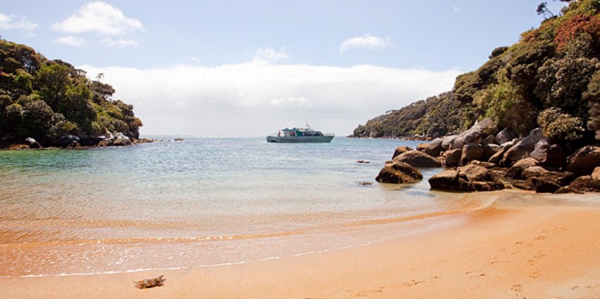 Paterson Inlet Cruise, Stewart Island - Everything New Zealand