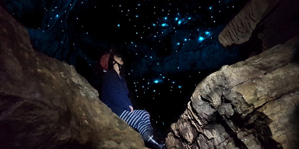 Waitomo Glowing Adventures Glow Worm Tour- Everything Travel