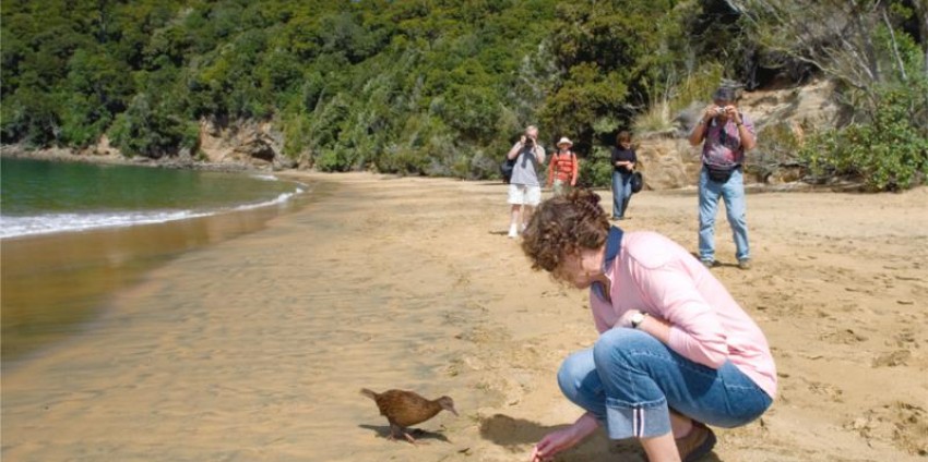 Stewart Island Experience | Guided Walks NZ - Everything New Zealand