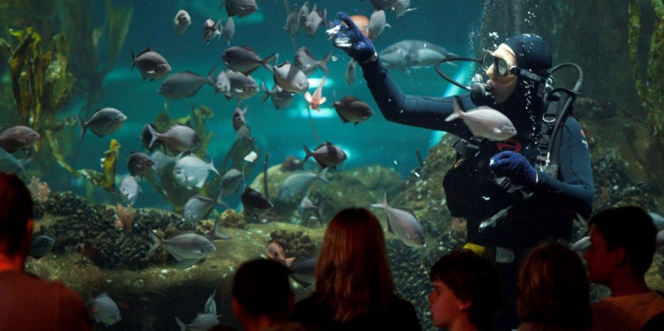 National Aquarium of New Zealand in Napier | Everything New Zealand
