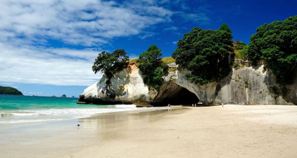 Things To Do in Coromandel | Kayaking - Everything New Zealand